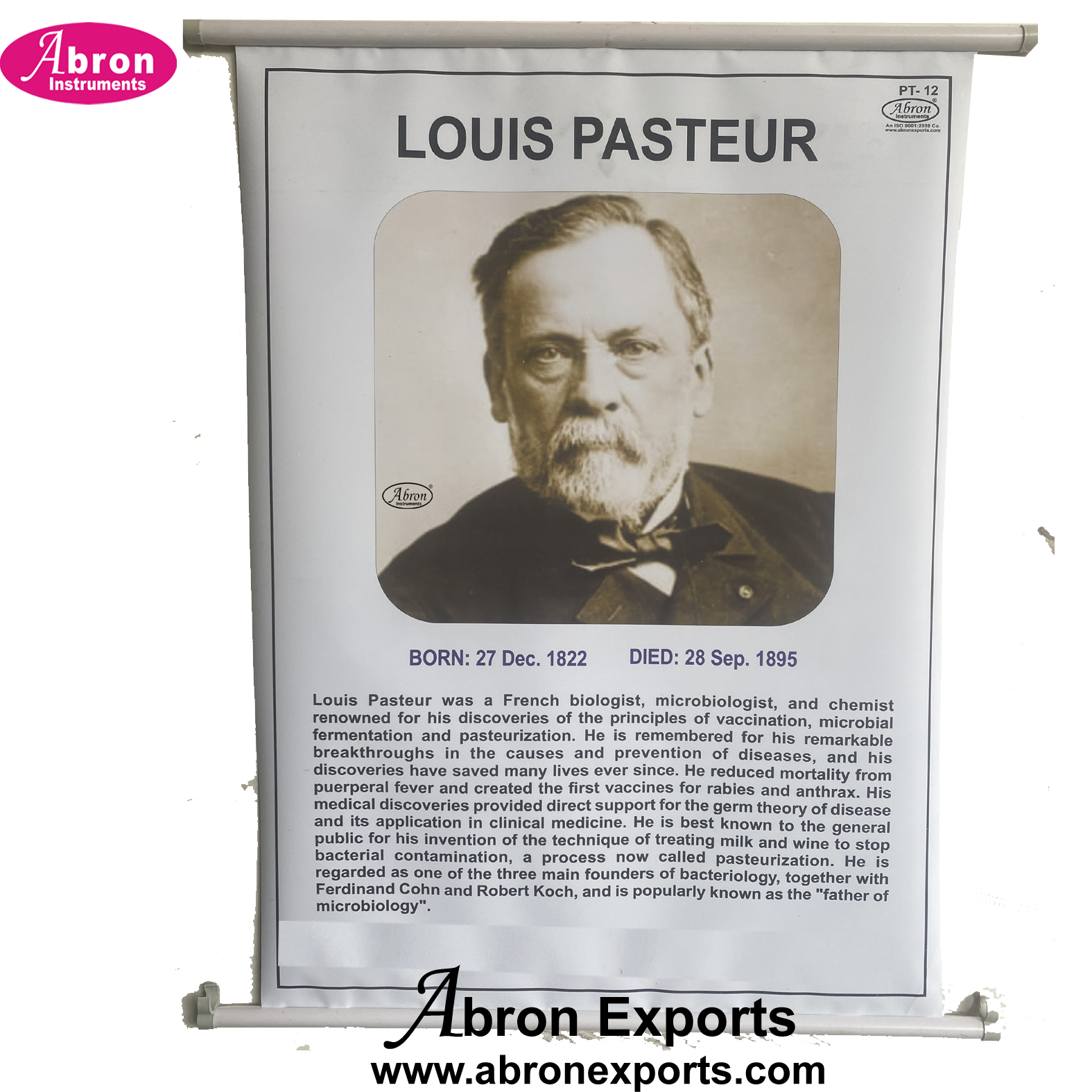 Medical Charts Portraits Dr Scientists Louis Pasteur etc 30x40 Inch ...