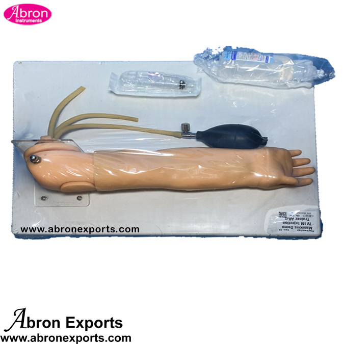 Model Human Vascular System Pharmacology Manikens Demo IV IM Injection ...