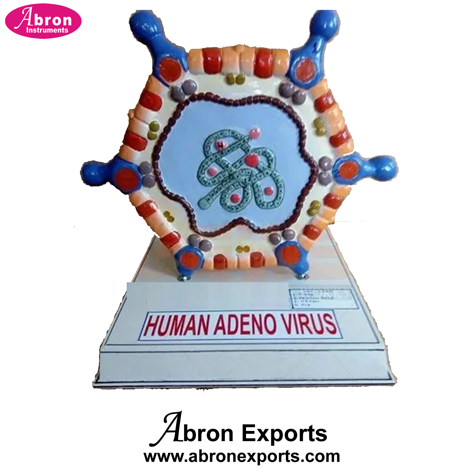 Medical College Community Human Adeno Virus labelled on Base Big Size ...