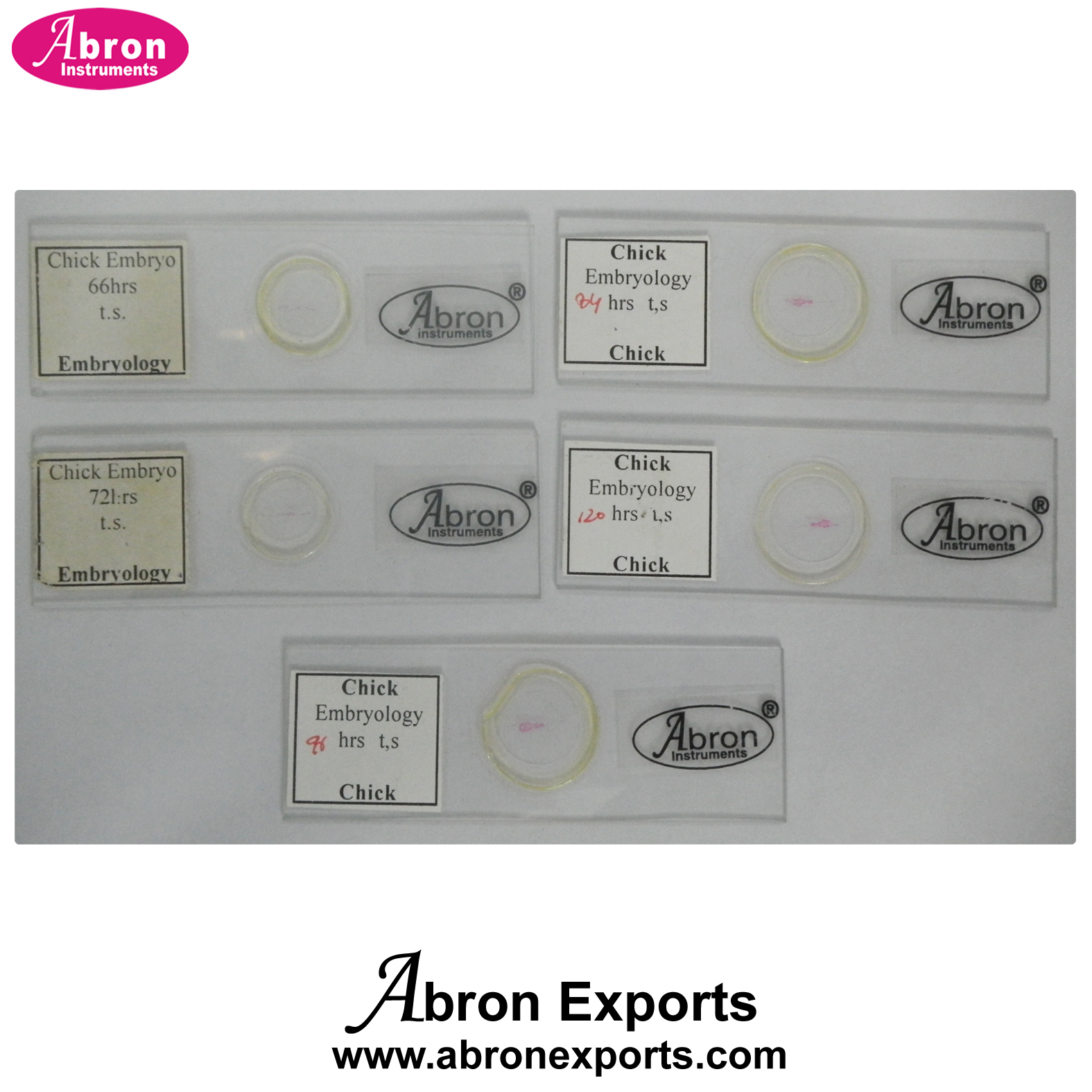 Onion chromosomes set mitosis (5) Meiosis (12 slides slide of cell ...